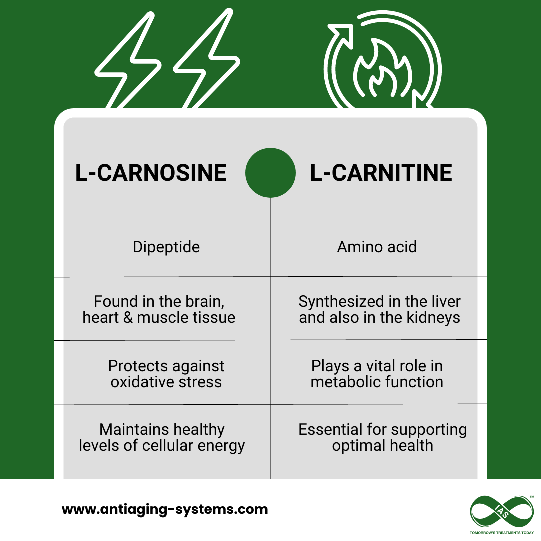 Are L Carnitine and L Carnosine the Same? | Anti Aging Systems
