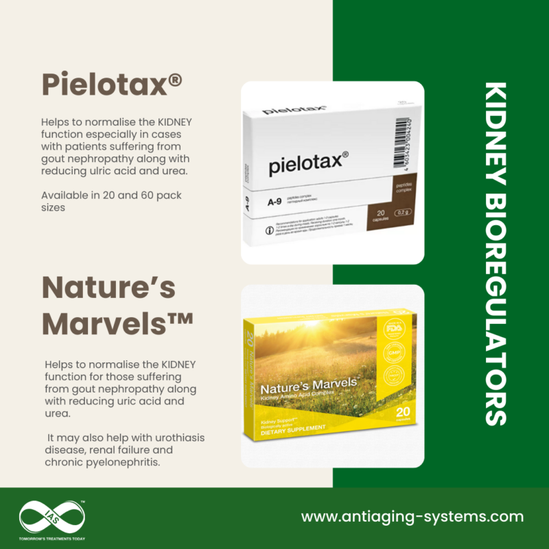 Normalizing Kidney Function with Peptides | Antiaging Systems
