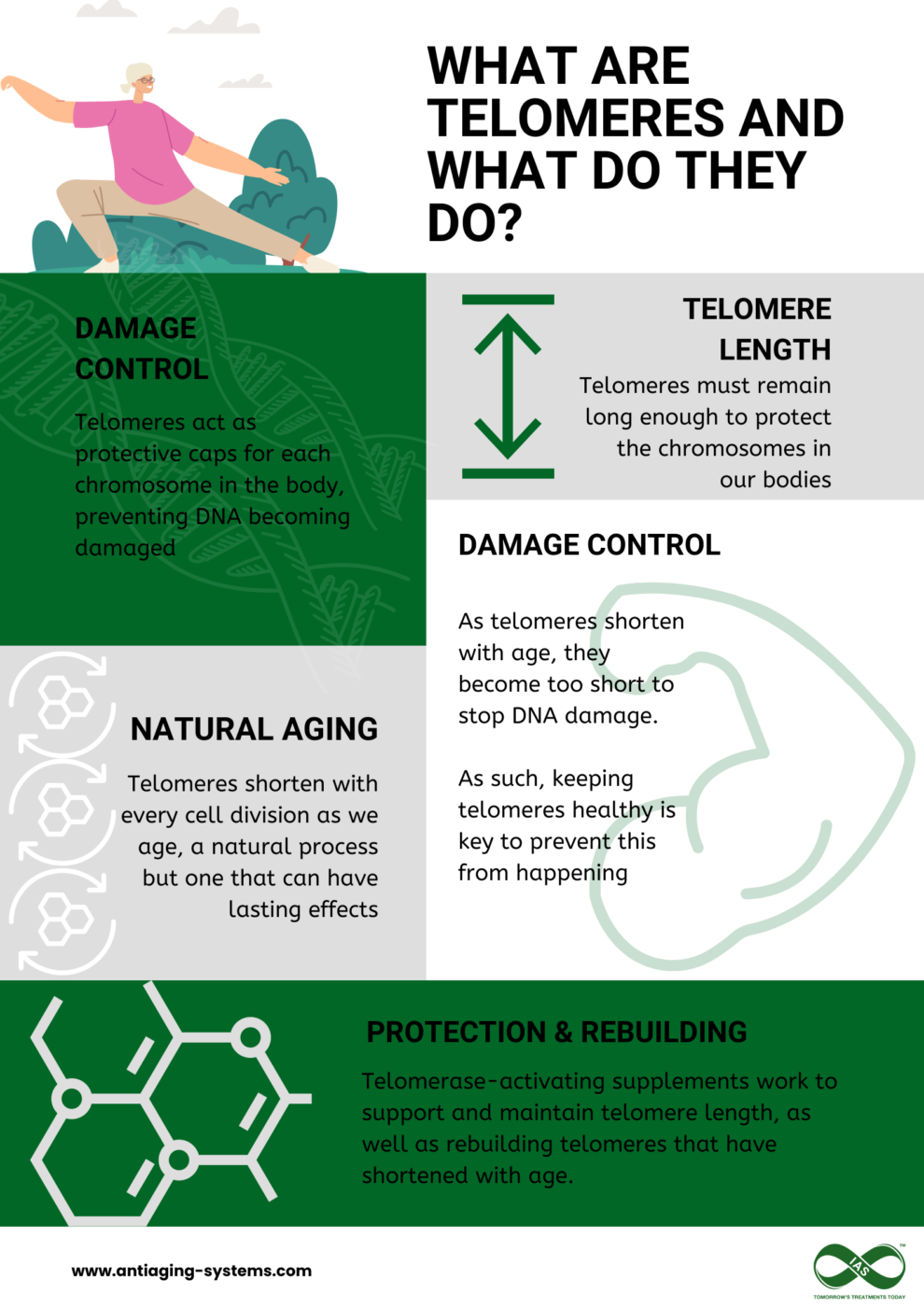 What Are Telomeres and What Do They Do? | Anti Aging Systems