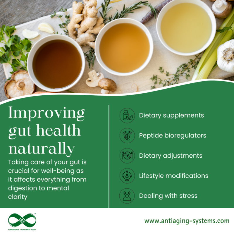 Improving Gut Health Naturally | Antiaging Systems